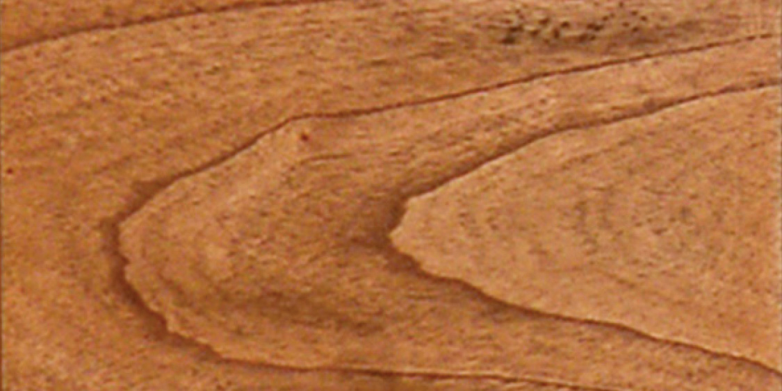 Sunny Designs Events